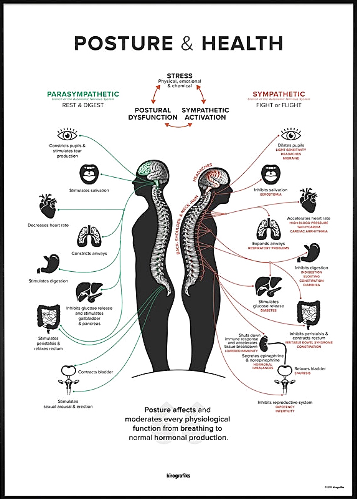 OsteoStrong East Boca – OsteoStrong